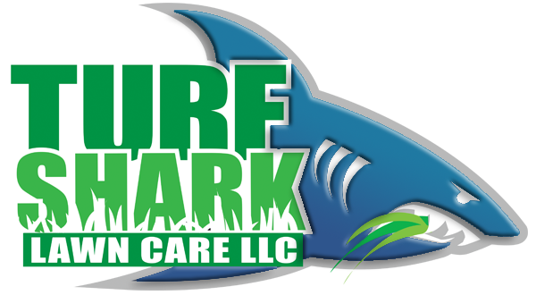 Turf Shark Lawn in Kansas City – Best Lawn Care in Kansas City
